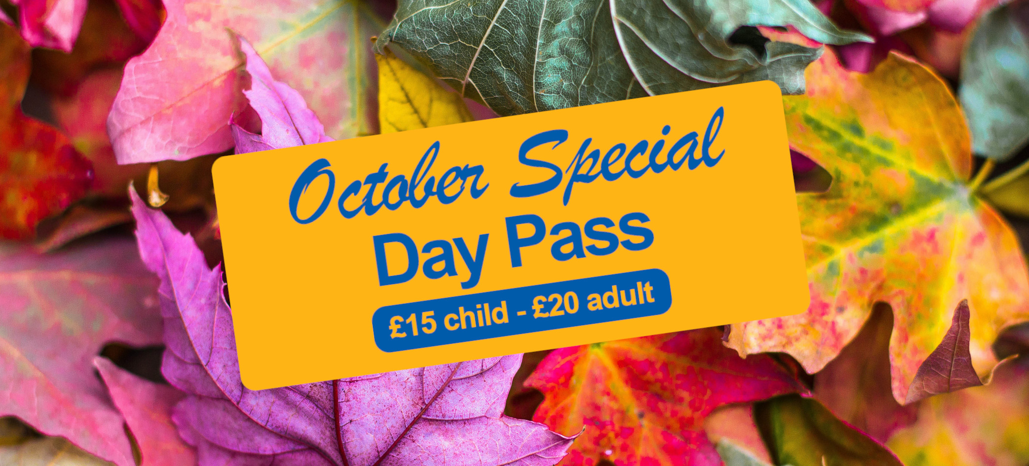 Latest Offers - GolfPlex